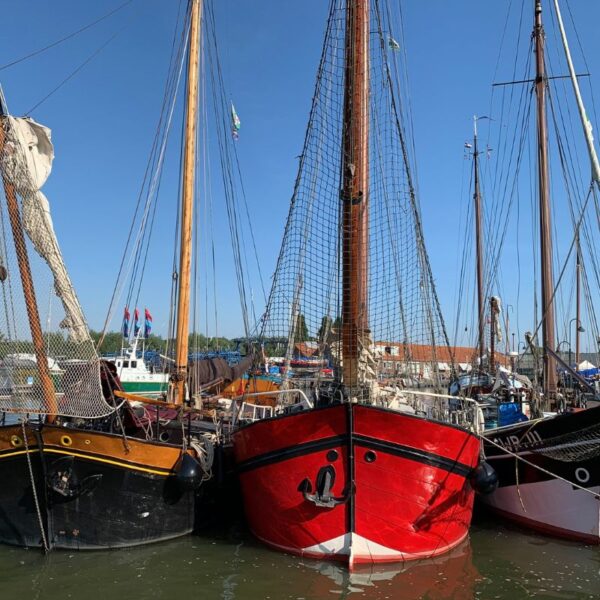 Eemsdelta Events – evenementen